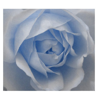 Our Original Collection Baby Blue Rose, 20"x25" Wall Decal Print, 20x25 ...