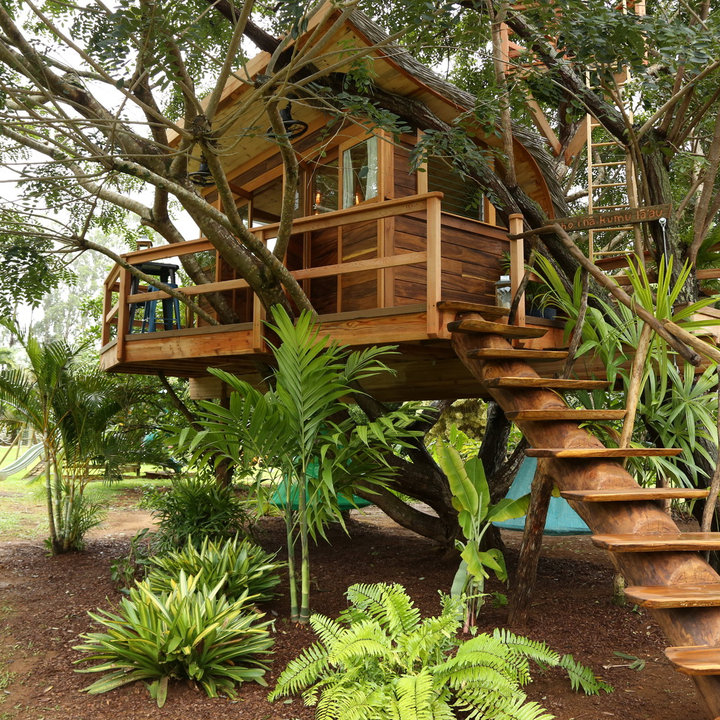 75 Tropical Shed Ideas You'll Love - May, 2026 | Houzz
