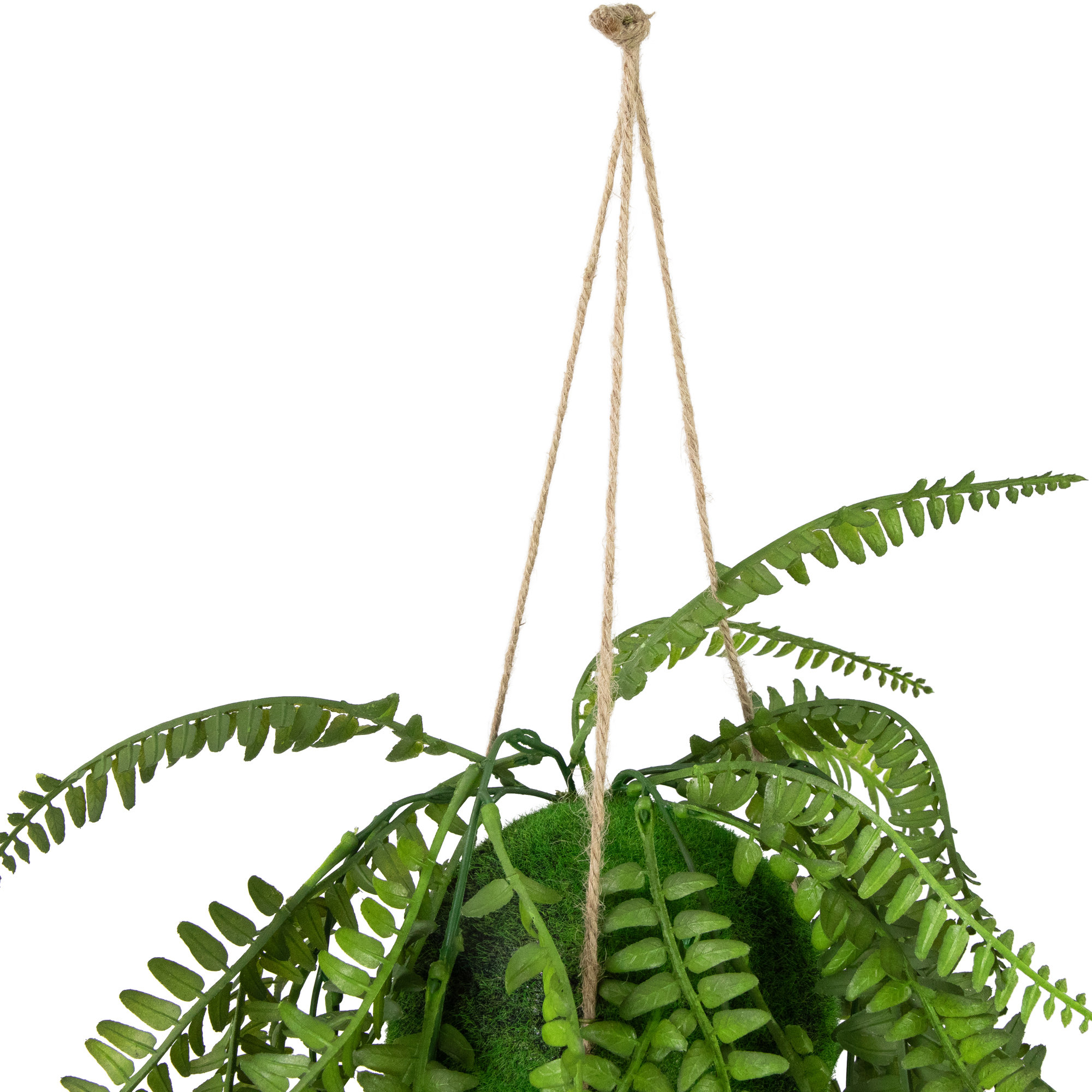 18" Artificial Fern Plant With Moss Ball and Hanging Jute Cord - Modern ...