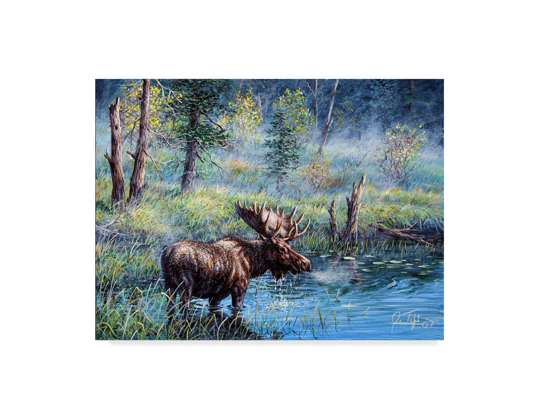 Jeff Tift 'Moose Painting' Canvas Art, 19"x14" - Rustic - Prints And ...