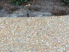 Any Opinions or Photos of River Rock, Exposed Aggregate Patios?