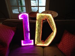 One Direction LED Concert Sign