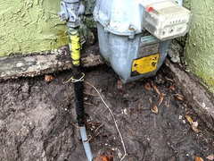 Removing tree roots near a gas line