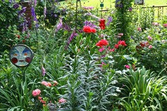 Wide shots of your whole garden