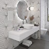Aster Hex Encaustic Porcelain Floor and Wall Tile - Contemporary - Wall ...
