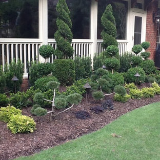Pom Pom Boxwoods | Houzz