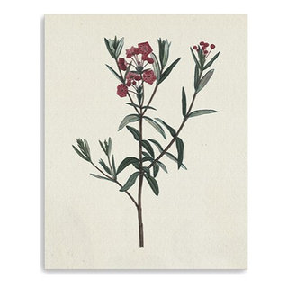 Singular Red Blossom Branch Unframed Print Wall Art - Contemporary ...