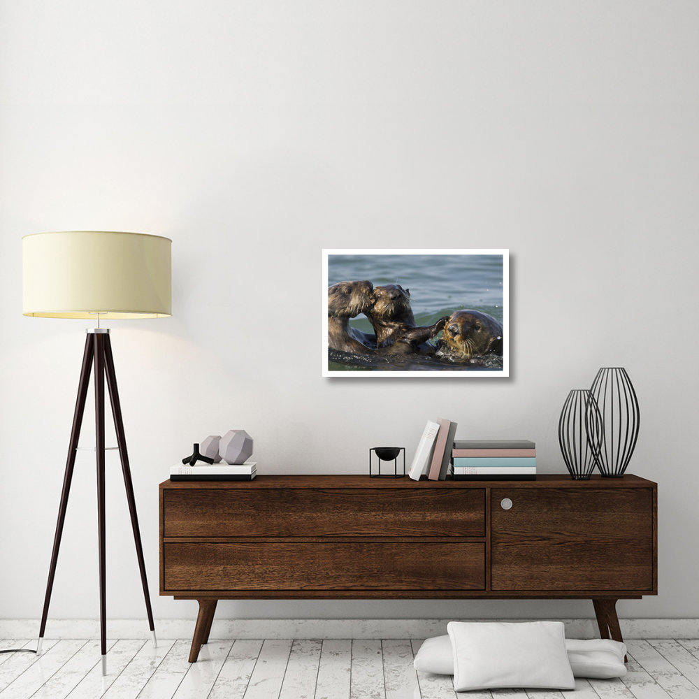 "Sea Otter male chasing mother with pup, Monterey Bay" Paper Art, 32 ...