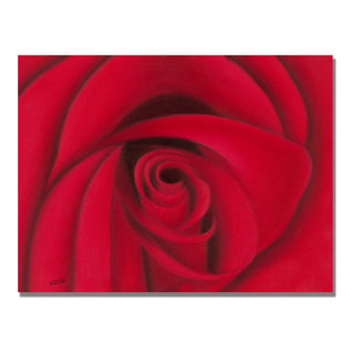 'Red Rose' Canvas Art by Rio, 18" x 24" - Traditional - Prints And ...