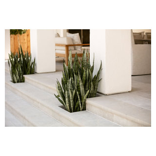 Southside Place Pool house garden - Transitional - Exterior - Houston ...