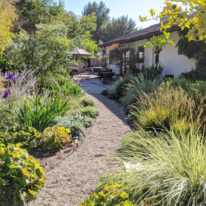 75 Beautiful Xeriscape Ideas & Designs - November 2022 | Houzz AU