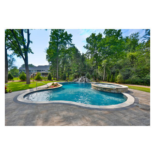 Naperville, IL Freeform Swimming Pool with Raised Hot Tub - Classique ...