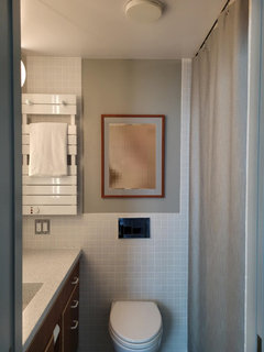 powder room shower