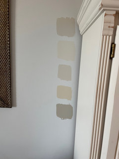 light neutral paint color