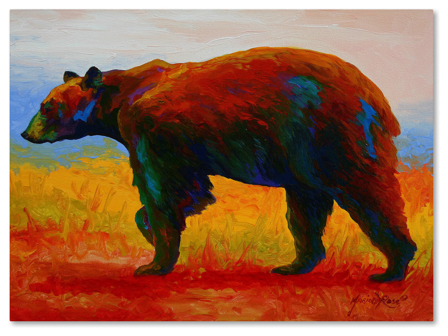 Marion Rose 'Blk Bear' Canvas Art, 18"x 24" - Rustic - Prints And ...