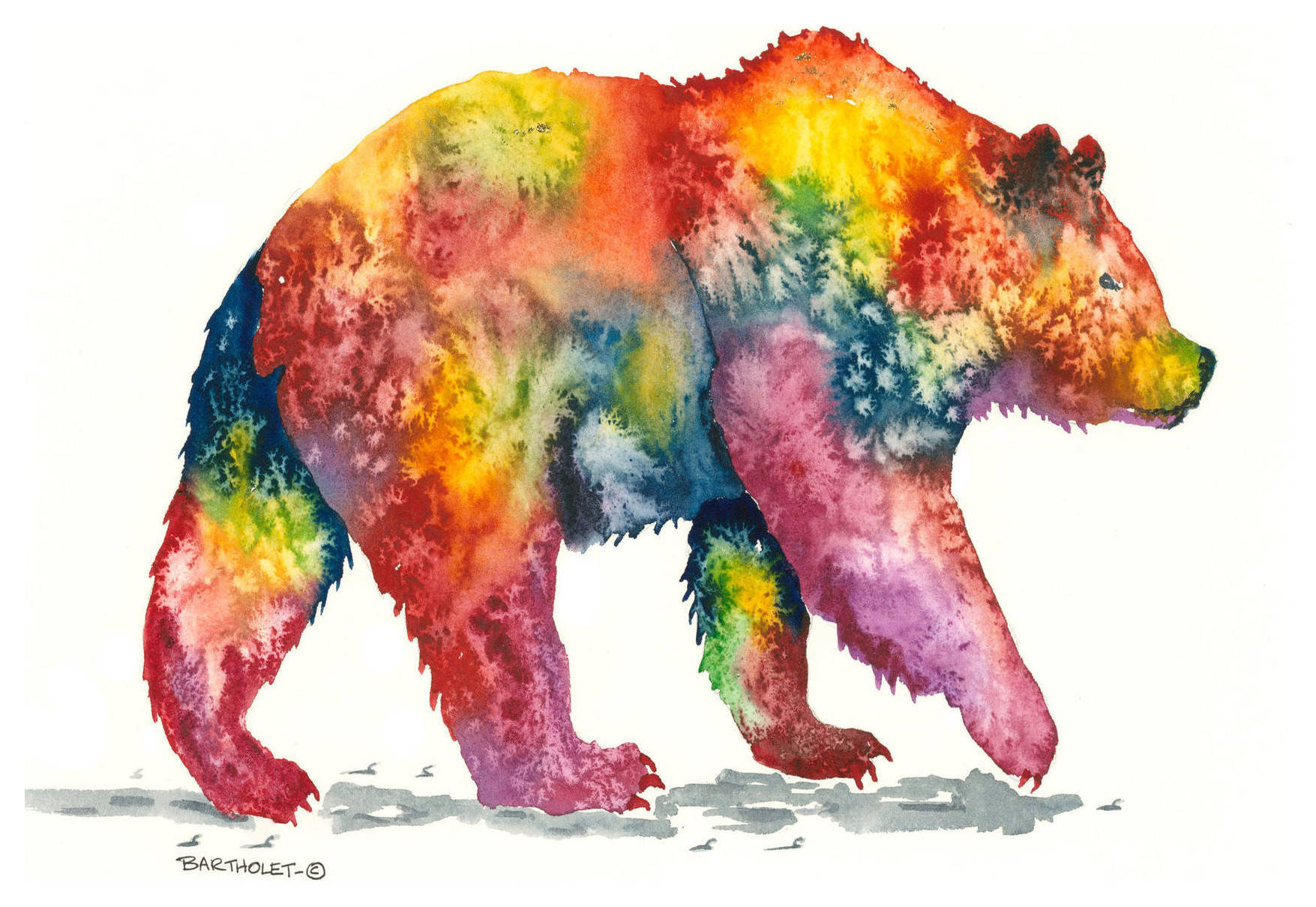Dave Bartholet Rainbow Grizz Art Print, 9"x12" - Rustic - Prints And ...