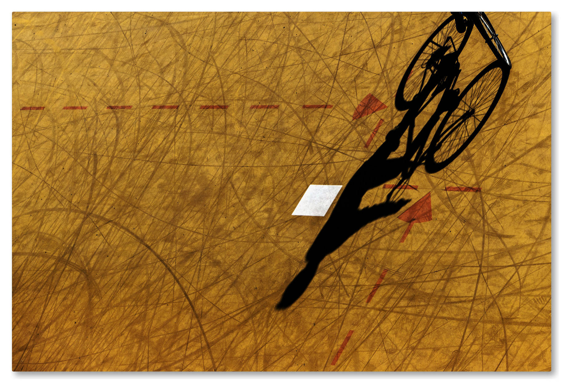 Donghee Han 'Bike Lane' Canvas Art, 19"x 12" - Contemporary - Prints ...