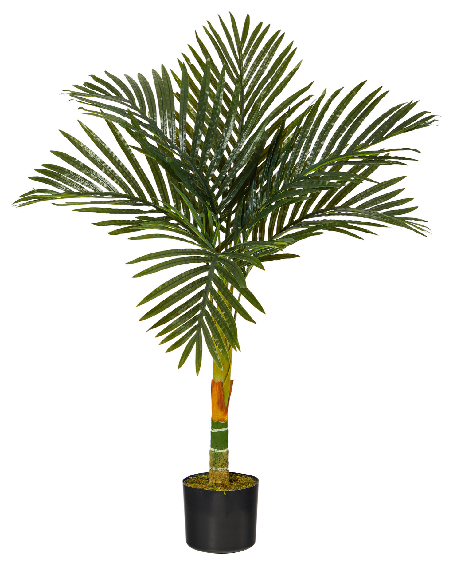 3' Golden Cane Artificial Palm Tree - Modern - Artificial Plants And ...