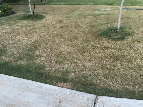 2016 Lawn Leveling with Sand