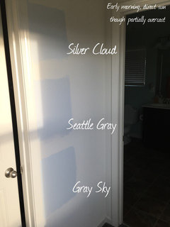 Benjamin Moore Silver Cloud