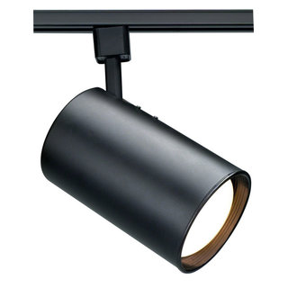 1 Light R30 Track Head Straight Cylinder - Transitional - Track Heads ...