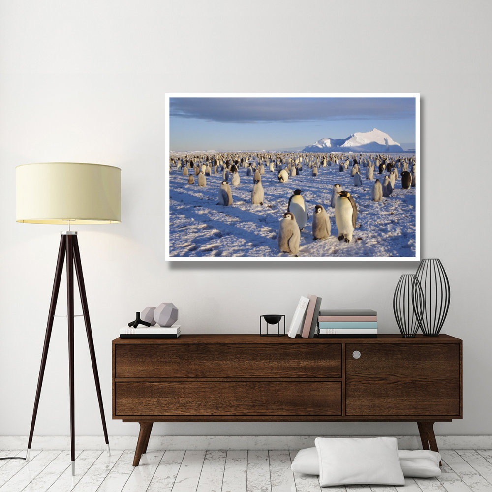 Emperor Penguin Colony, Atka Bay, Weddell Sea, Antarctica-Paper Art, 40 ...