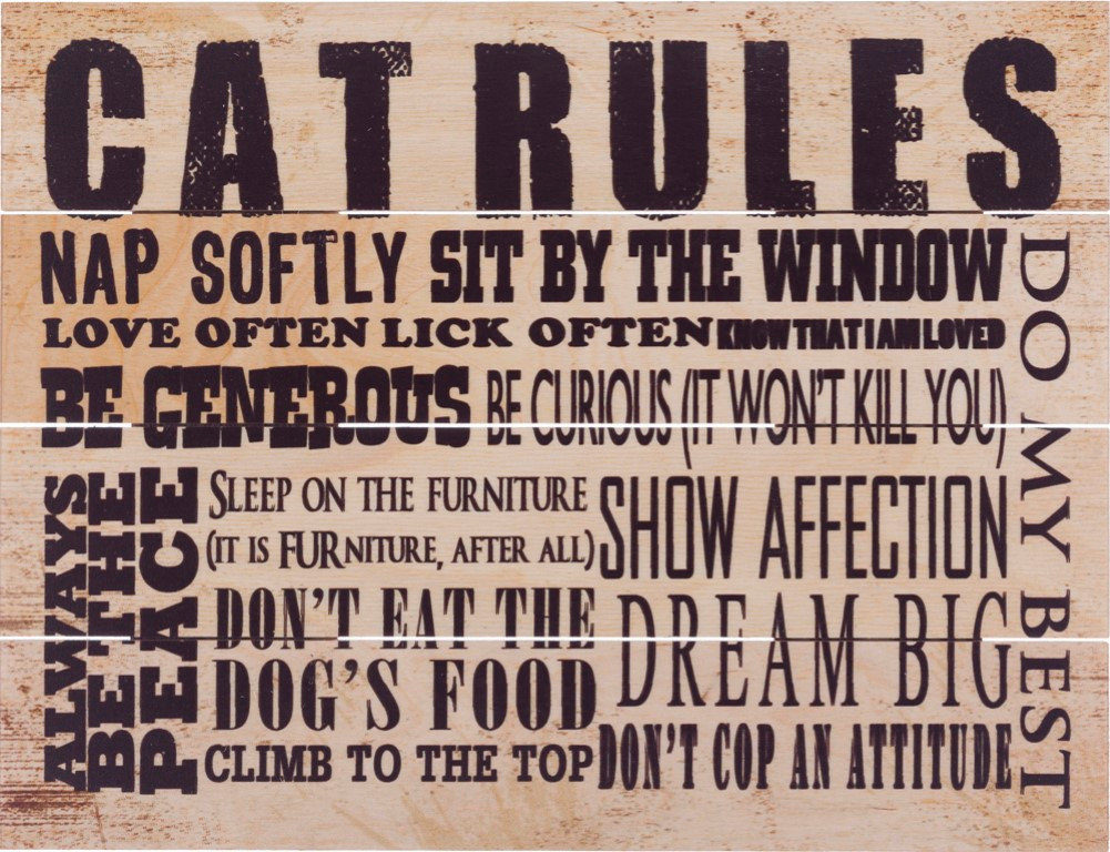Cat Rules Pallet Art - Contemporary - Novelty Signs - by Furniture Barn ...