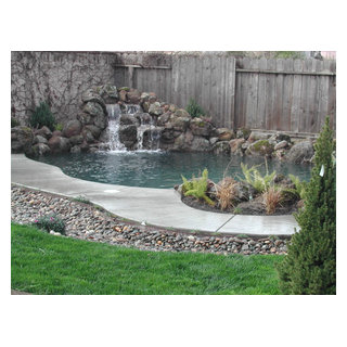 Lagoon Styles Pools and Features - Sacramento - by Ultimate Pools by ...