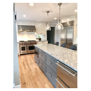 Longmeadow Major Kitchen renovation plus - Transitional - Kitchen ...