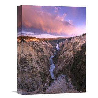 "Lower Yellowstone Falls, Yellowstone National Park, Wyoming" Artwork ...