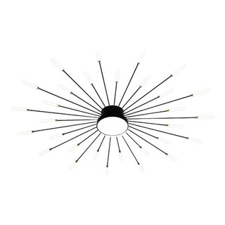 Willisau | Luxury LED Sun Ceiling Light, 20 Heads - Midcentury - Flush ...
