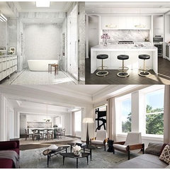 Peerless Development Group - Project Photos & Reviews - Chicago, IL US | Houzz