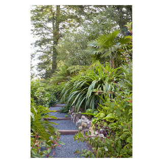 San Francisco Cloud Forest Garden - Tropical - Landscape - San ...