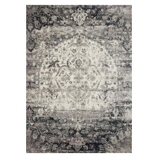 Anastasia Rug, 3'7"x5'7" - Contemporary - Area Rugs - by Loloi Inc. | Houzz
