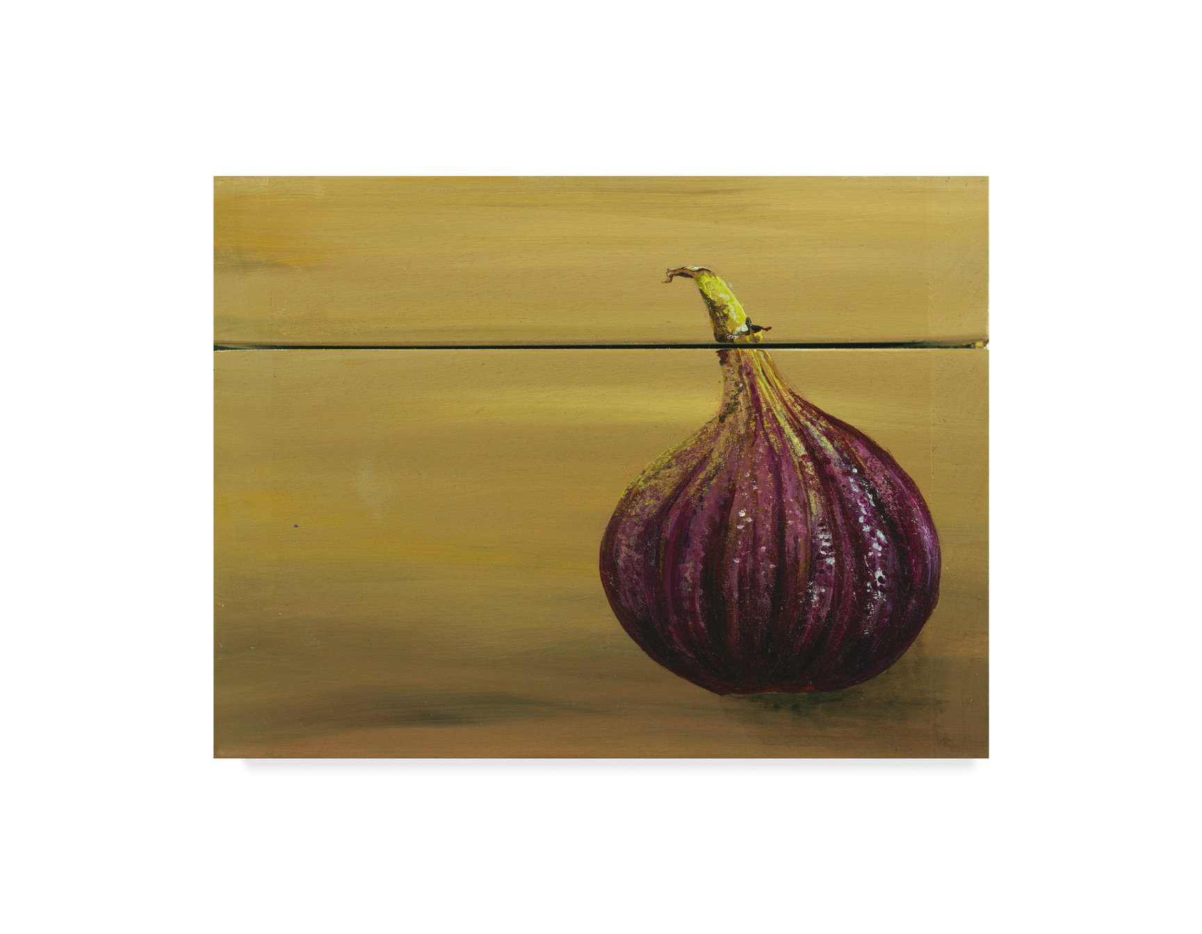 Gigi Begin 'Red Onion On A Box' Canvas Art, 24"x18" - Farmhouse ...