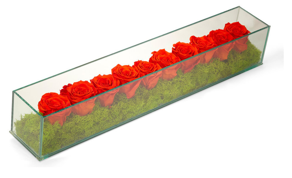 Preserved Roses in Rectangular Glass Box, Orange - Victorian ...
