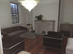 vinyl INTERIOR windows in clay not white??