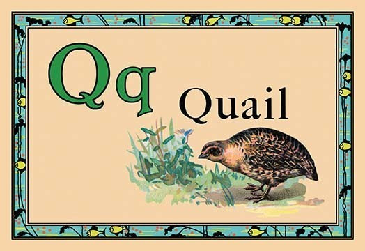 Quail, 20" x 30" - Traditional - Prints And Posters - by Buyenlarge Inc ...