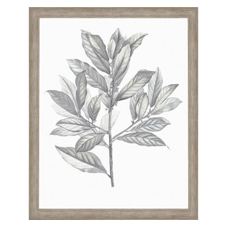 Silvered Leaves III Artwork - Contemporary - Prints And Posters - by Paragon Decor | Houzz