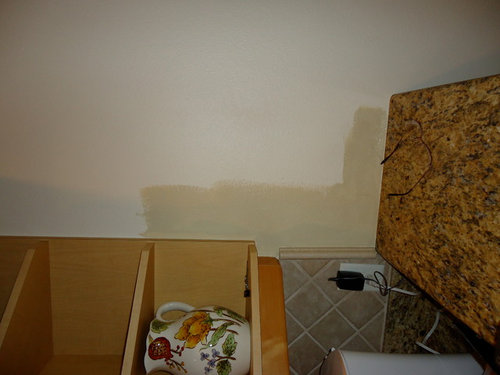 Color for family room & kitchen