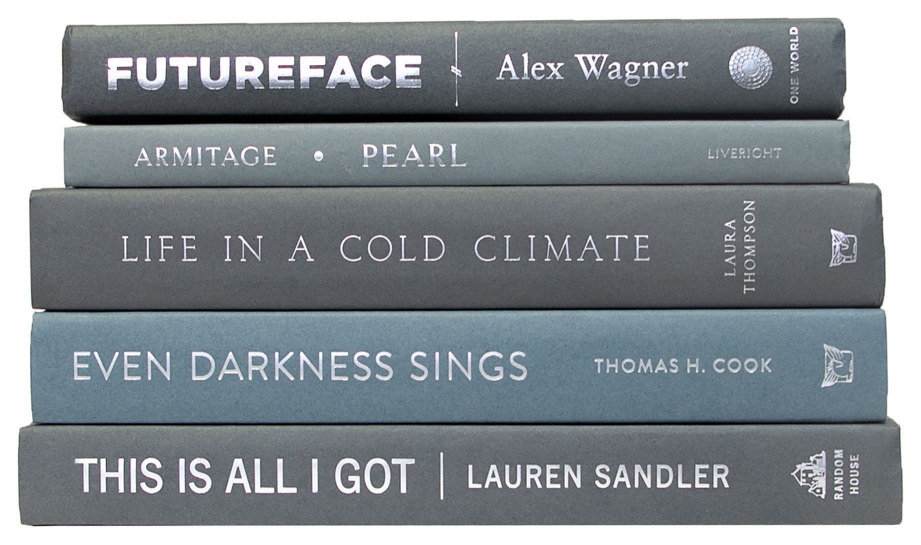 Modern Slate Book Stack, 5-Piece Set - Traditional - Books - by Booth ...