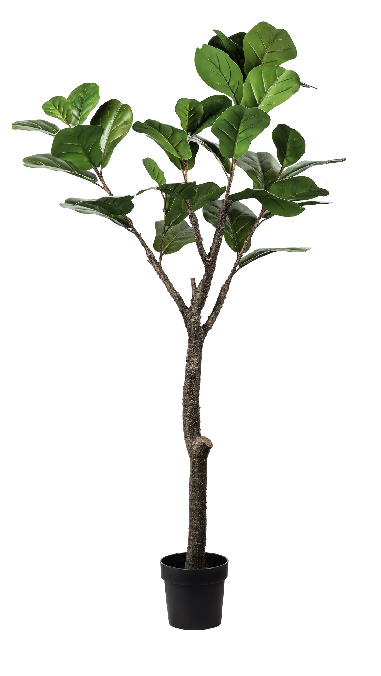 Potted Fiddle Leaf Tree 20x20x59" - Transitional - Artificial Plants ...