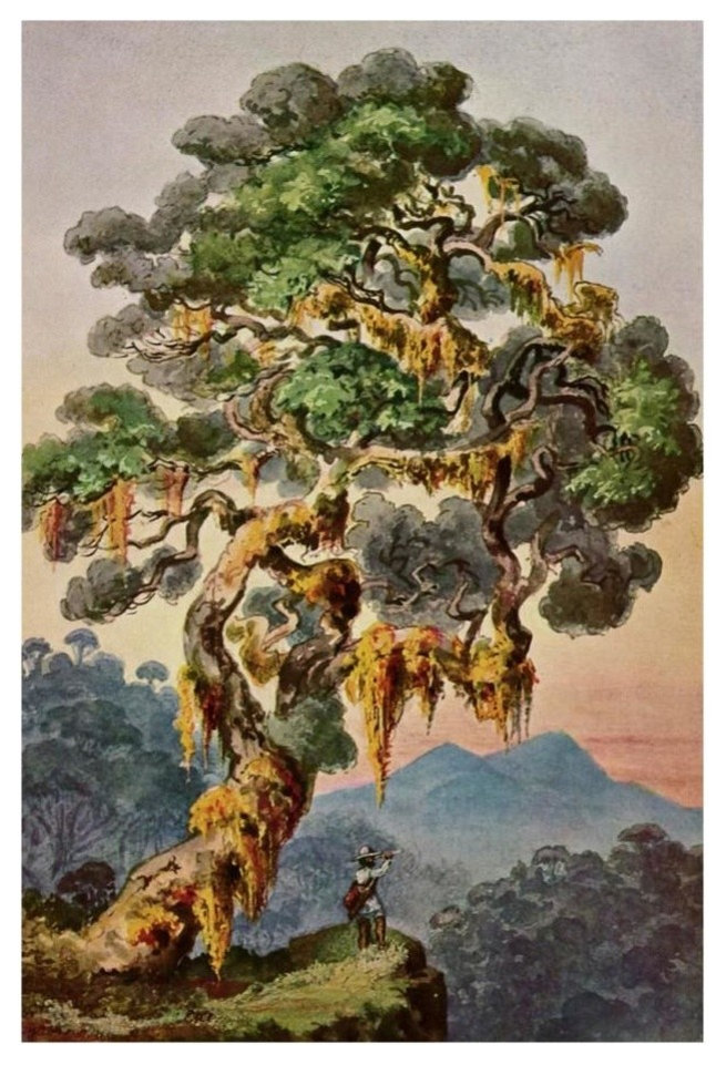 "Der Vulkan Merapi auf Sumatra Hochland von Padang" Print, 14"x20", 18 ...