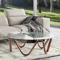 Modrest Lassen Modern Glass and Walnut Coffee Table - Contemporary ...