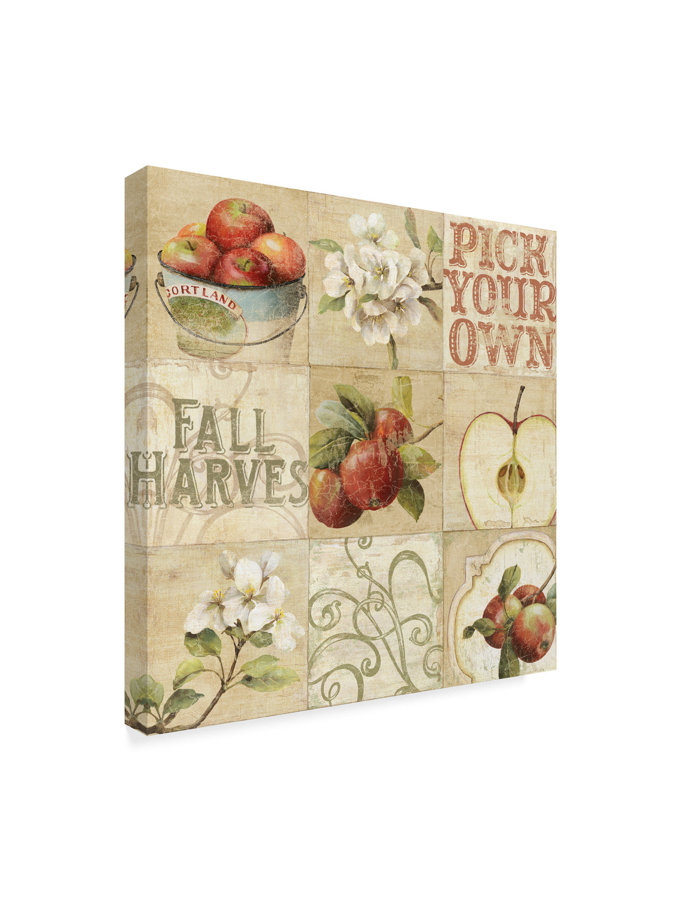 Lisa Audit 'Fall Harvest IV' Canvas Art, 18"x18" - Farmhouse - Prints ...