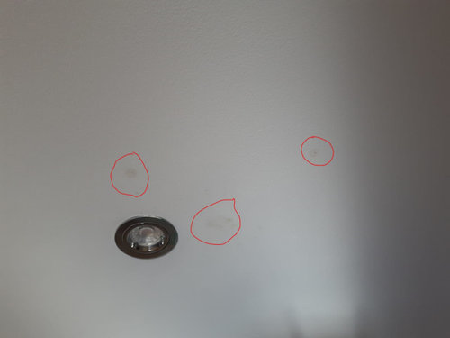 What Are Black Spots On Ceiling | Americanwarmoms.org