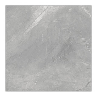 Premium Pulpis Gray Glossy 24x24 Porcelain Tile - Modern - Wall And ...