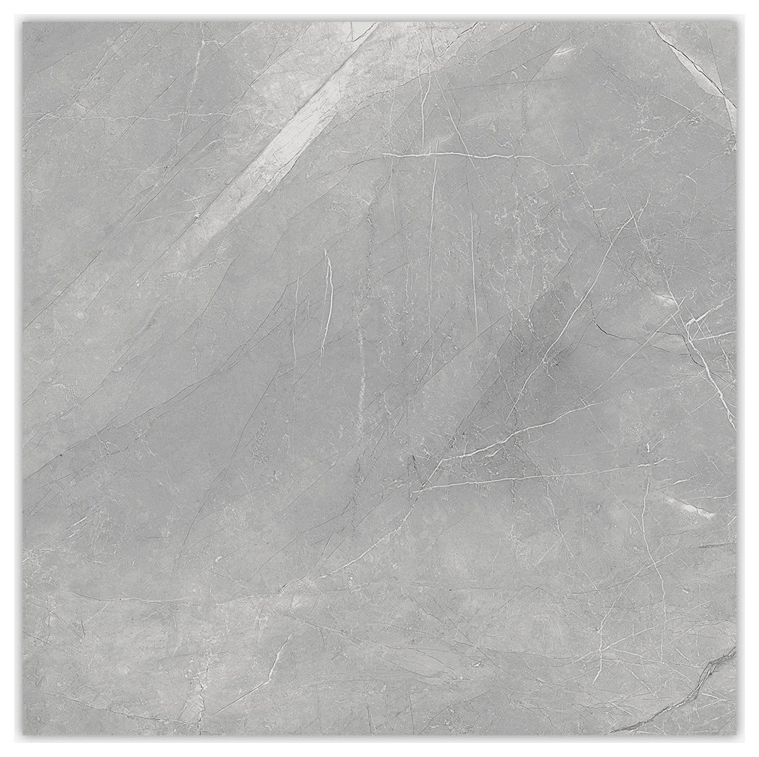 Premium Pulpis Gray Glossy 24x24 Porcelain Tile, 24X24 - Traditional ...