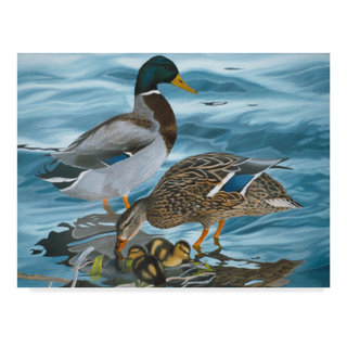 Rusty Frentner 'Mallard Family' Canvas Art, 24"x18" - Rustic - Prints ...