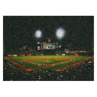 Baseball Field 5 Area Rug, 5'0"x7'0" - Contemporary - Novelty Rugs - by ...